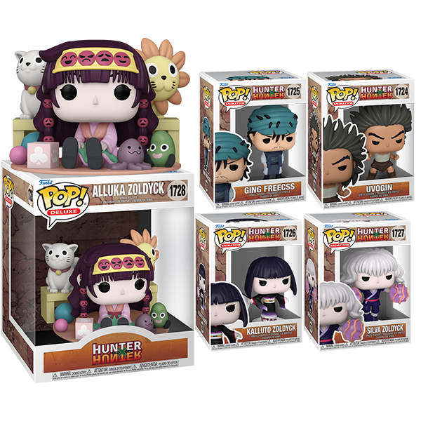 HUNTER X HUNTER - BUNDLE (SET OF 5) Pop! Vinyl Figure - EXCLUSIVE US I ...